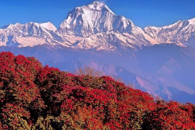 The Best of Nepal : 5-Day Trek to Ghorepani Poon Hill & Ghandruk - What Makes This Trek Special