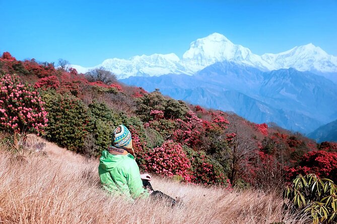 The Best of Nepal : 5-Day Trek to Ghorepani Poon Hill & Ghandruk - Practical Details