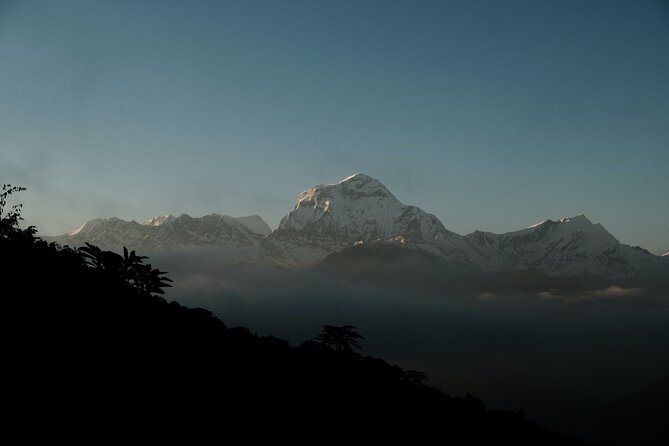 The Best of Nepal : 5-Day Trek to Ghorepani Poon Hill & Ghandruk - What Reviewers Say