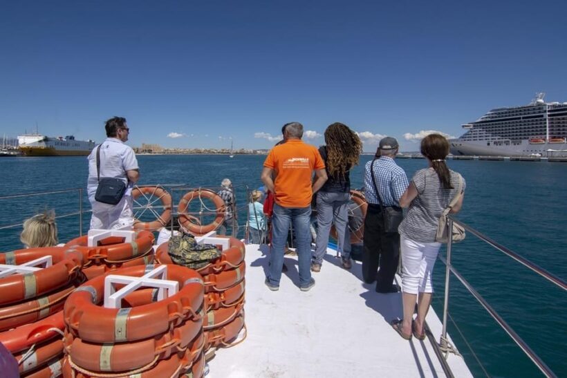 The Best of Palma: Boat trip, Walking tour and Cathedral - Who Will Love This Tour?