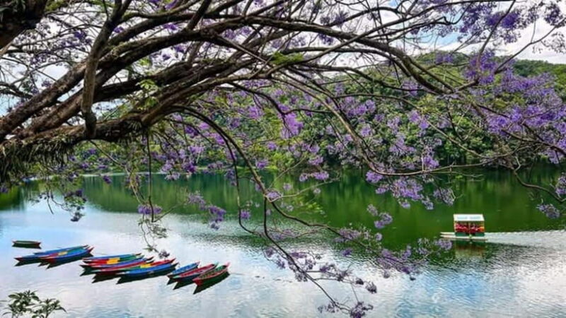 The Best of Pokhara: Full-Day Private Tour with Sarangkot - What Makes This Tour Stand Out