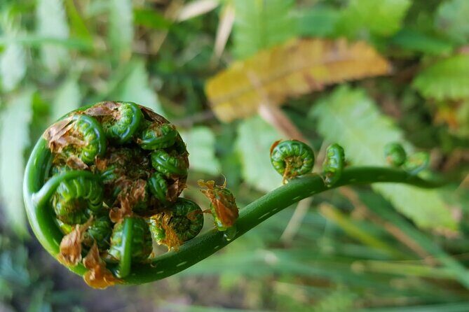 The Best of Puerto Rico Private Day Tour - What Travelers Say