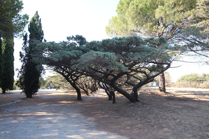 The Best of Rhodes & Lindos: Full Island Tour (Small Group) - Company Reputation and Trustworthiness