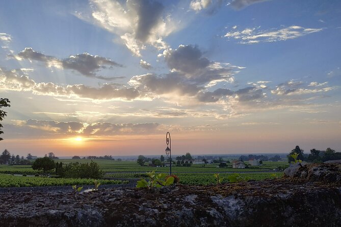 The Best Of Saint-Emilion : City Highlights walking tour - Who Is This Tour Best For?