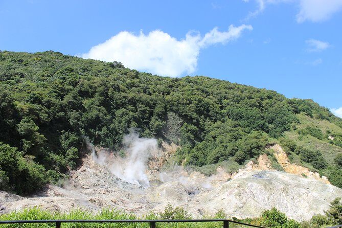 The Best of Saint Lucia Tour - Who Will Love This Tour?