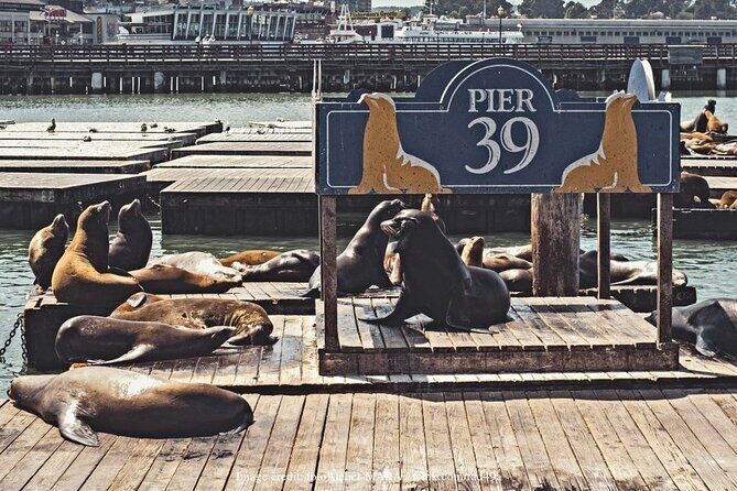 The Best of San Francisco: Private Half-Day Walking Tour - Who should consider this tour?