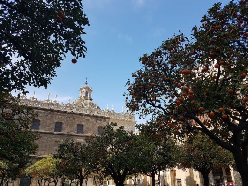 The Best of Seville: Private 2,5 Hour Walking Tour - Final Thoughts