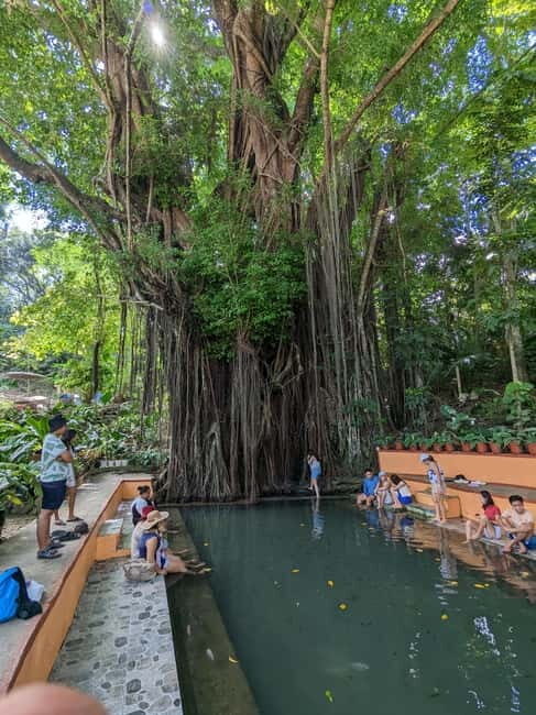 The Best of Siquijor Island Tour - An Overview of the Itinerary