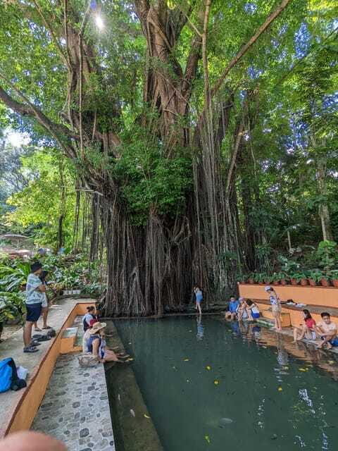 The Best of Siquijor Island Tour - The Sum Up