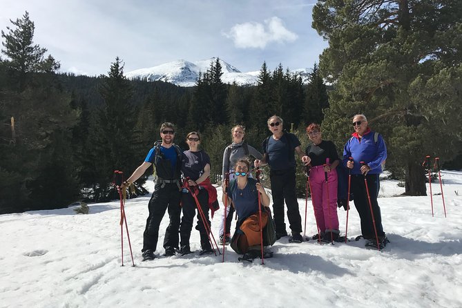 The Best of Sofia: Magical Snowshoeing Adventure in Vitosha & SPA - Authentic Experience and Testimonials