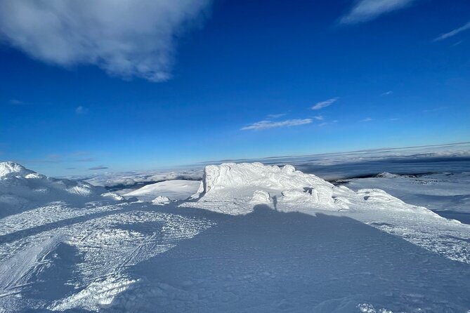 The Best of Sofia: Magical Snowshoeing Adventure in Vitosha & SPA - Who is This Tour Best For?