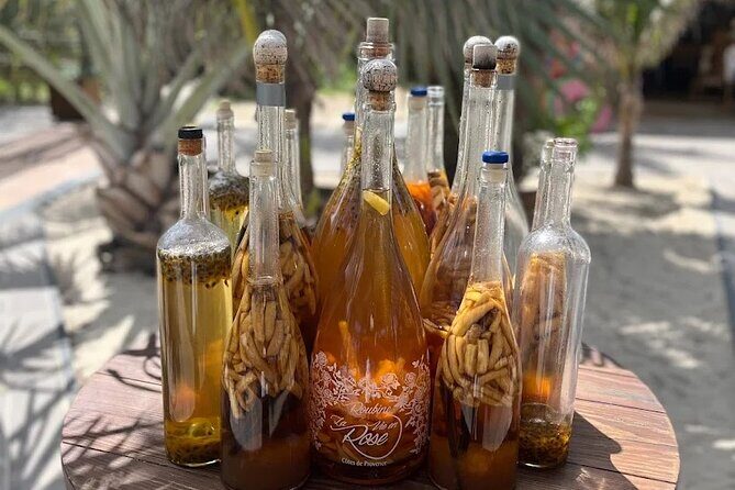 The Best of St Maarten Private Sightseeing Tour - FAQ: Your Practical Questions Answered