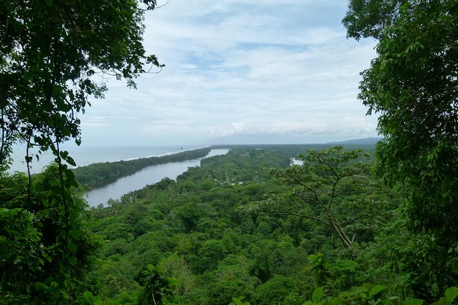 The Best of Tortuguero: Canoe, Hike and Night Tour (Turtle in Jul-Oct) - Activity Highlights