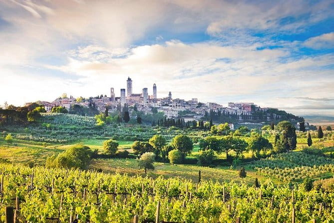 The Best of Tuscany: Private Full Day Tour From Florence - The Sum Up: Who is this tour best suited for?