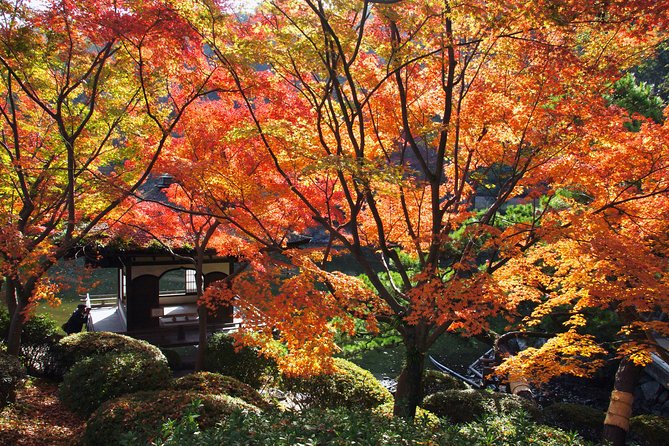 The Best of Wakayama City Private Tour - Inclusions and Pricing