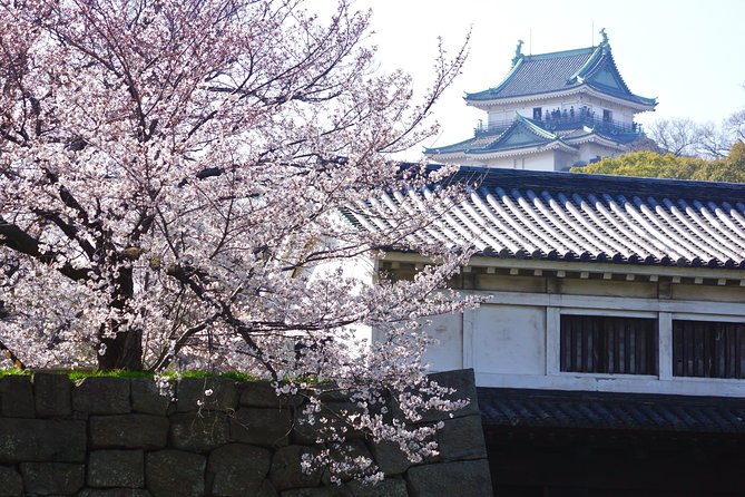 The Best of Wakayama City Private Tour - Discovering Wakayama Castle and Its History