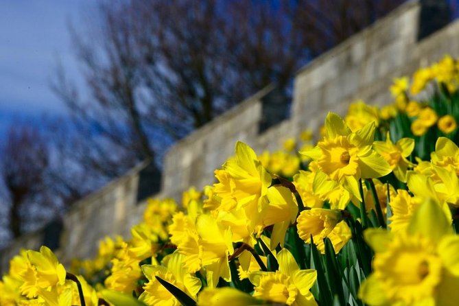 The Best of York on Foot in a Small Group - What to Expect on This Guided Tour