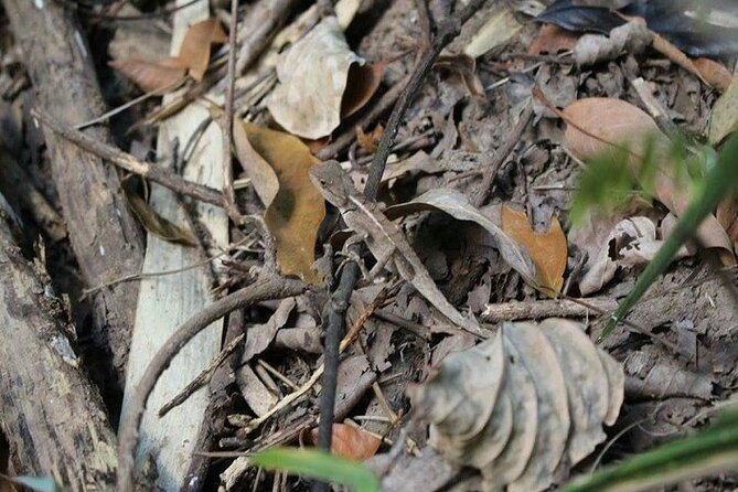 The Best One Day Trip Of Doi Inthanon National Park - Who Will Love This Tour?