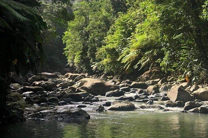 The Best Rainforest Experience in Puerto Rico - Who Will Love This Tour?