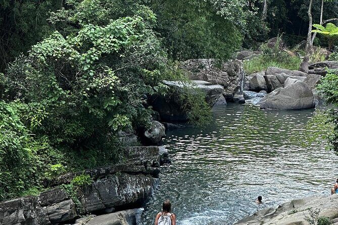 The Best Rainforest Experience in Puerto Rico - The Sum Up