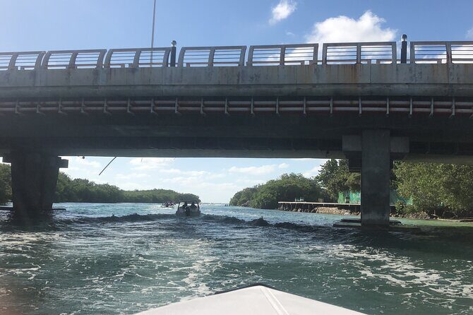 The Best Speedboat Tour In Cancun through Nichupte Lagoon, Snorkel included. - Who Is This Tour Best For?