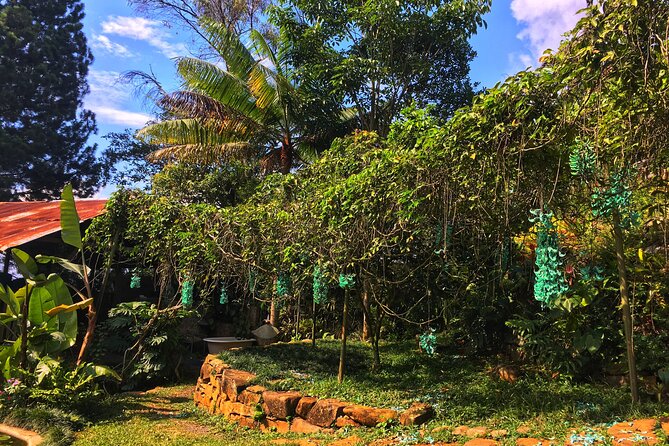 The Best Thing to Do in Cali - Butterfly Walk - Meeting and End Points of the Tour