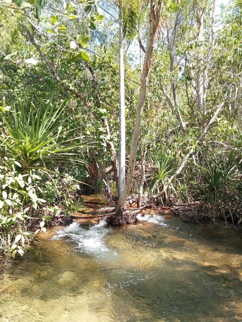 The best tour of Litchfield and crocodiles on the river - An Honest Look at the Experience