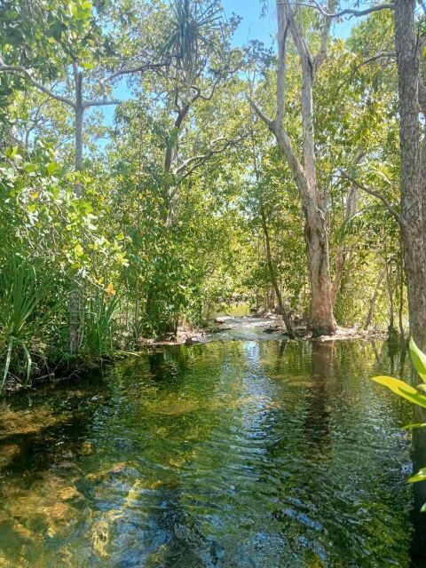 The best tour of Litchfield and crocodiles on the river - Value and Booking Advice