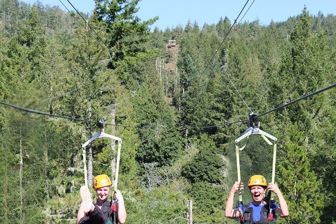 The Big Zip Experience - An In-Depth Look at The Big Zip Experience