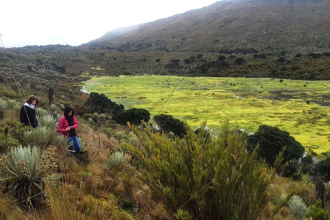 The Biggest Paramo on Earth: Sumapaz - Navigating the High-Altitude Terrain