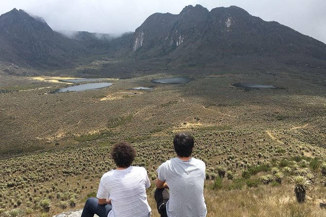 The Biggest Paramo on Earth: Sumapaz - Discovering the Unique Flora and Fauna