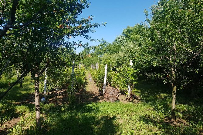 The Biggest Salt Mine in Europe and the Carpathian Authentic Villages - Who Should Book This Tour?