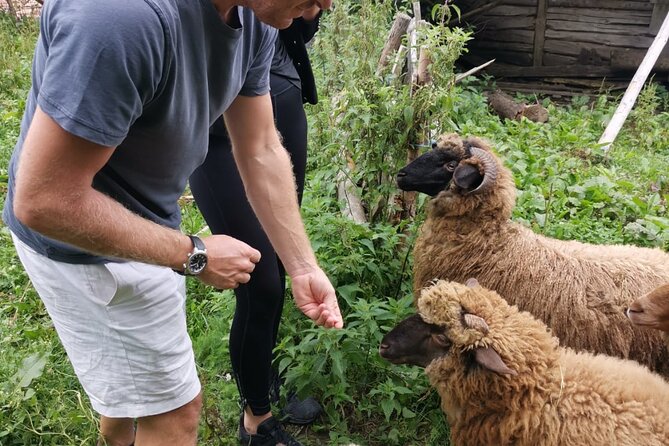 The Biggest Salt Mine in Europe and the Carpathian Authentic Villages - FAQ