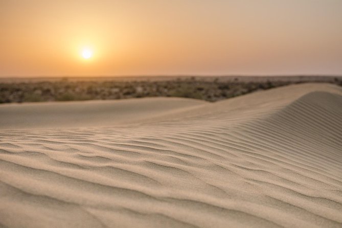 The Billion stars Experience in the Desert - Overnight Stay in the Thar Desert