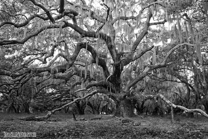 The Blackest Ghost Tour Ages 17 and Above - What to Expect from the Blackest Ghost Tour