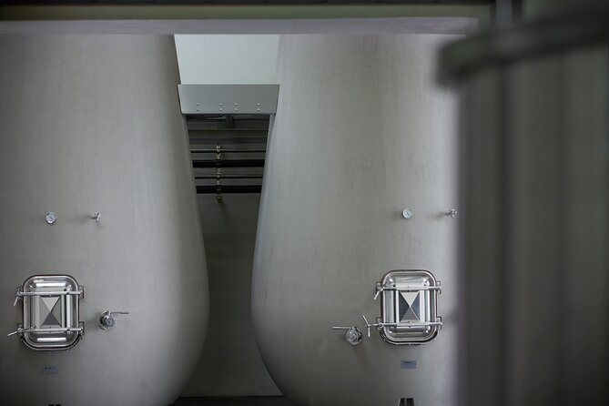 The Blending Tour at Château de La Dauphine - The Château and Its Surroundings