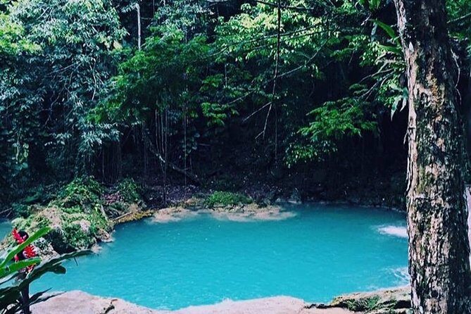 The Blue Hole and Martha Brae River Private Tour from Falmouth - An In-Depth Look at the Tour Experience