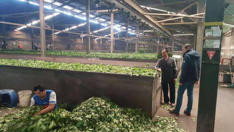 The Breathtaking Views Of The Countryside In Bandung - Key Points