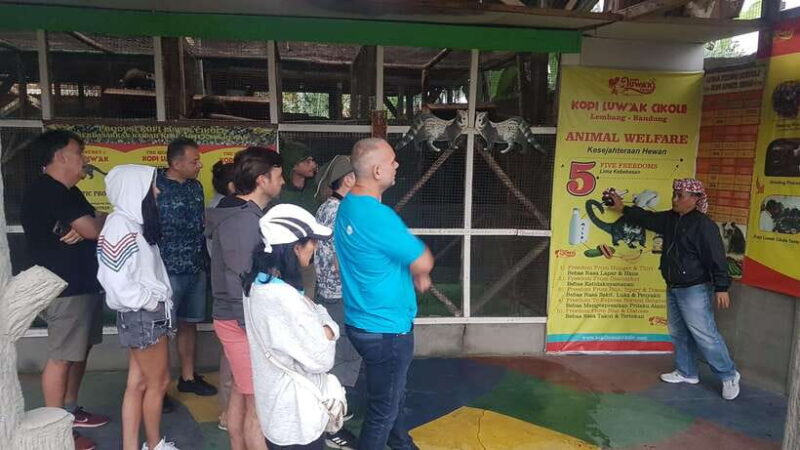 The Breathtaking Views Of The Countryside In Bandung - Who Will Love This Tour?