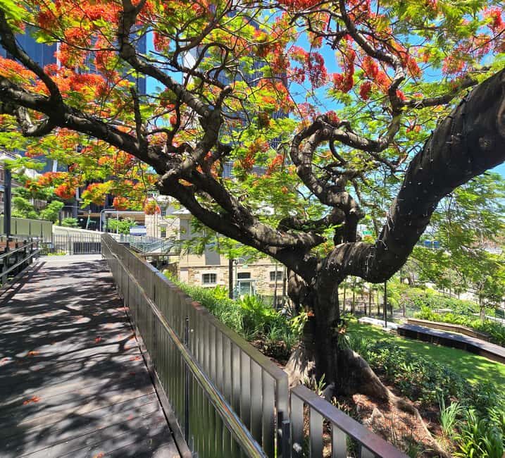 The Brisbane Experience: City Walking Tour - An In-Depth Look at the Itinerary