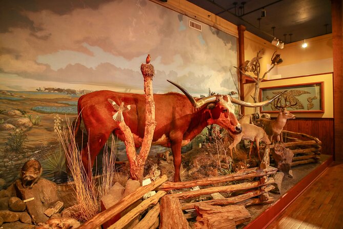 The Buckhorn Saloon & Museum and Texas Ranger Museum Admission - Final Thoughts: Is It Worth It?