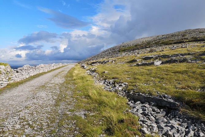 The Burren and Cliffs of Moher Full Day Private Tour From Galway - Inclusions
