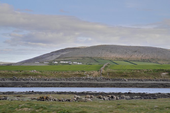 The Burren and Cliffs of Moher Full Day Private Tour From Galway - Pickup Information