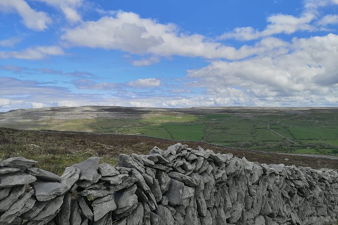 The Burren and Cliffs of Moher Full Day Private Tour From Galway - Reviews and Feedback