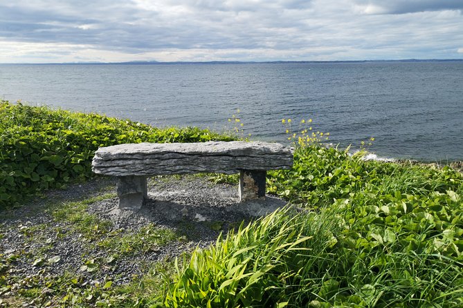 The Burren and Cliffs of Moher Full Day Private Tour From Galway - Explore the Stunning Burren and Cliffs of Moher