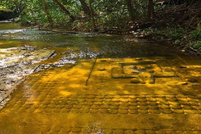 The Cambodian Circus Show and Pub Street Night Market - Authentic Experiences Backed by Reviews