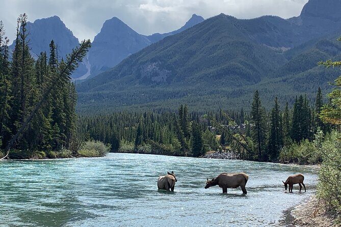 The Canmore History Tour - 1.5H Walk - Final Thoughts
