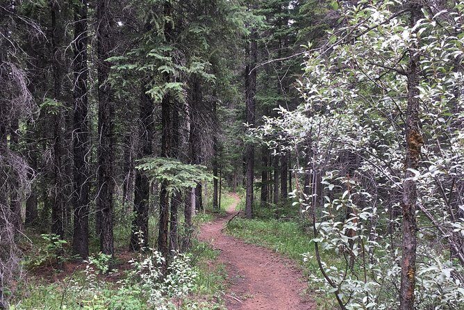 The Canmore History Tour - 1.5H Walk - FAQs
