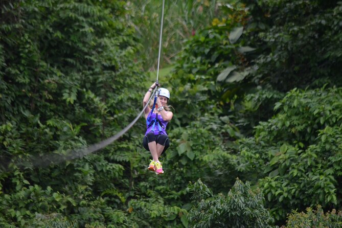 The Cañones Canopy With Hotsprings Los Lagos - Conservatory and Farm Visits