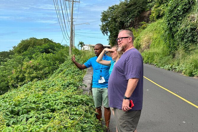 The Cascading Dark View Falls and Beach Experience with Topdawg Taxi and Tours - The Sum Up